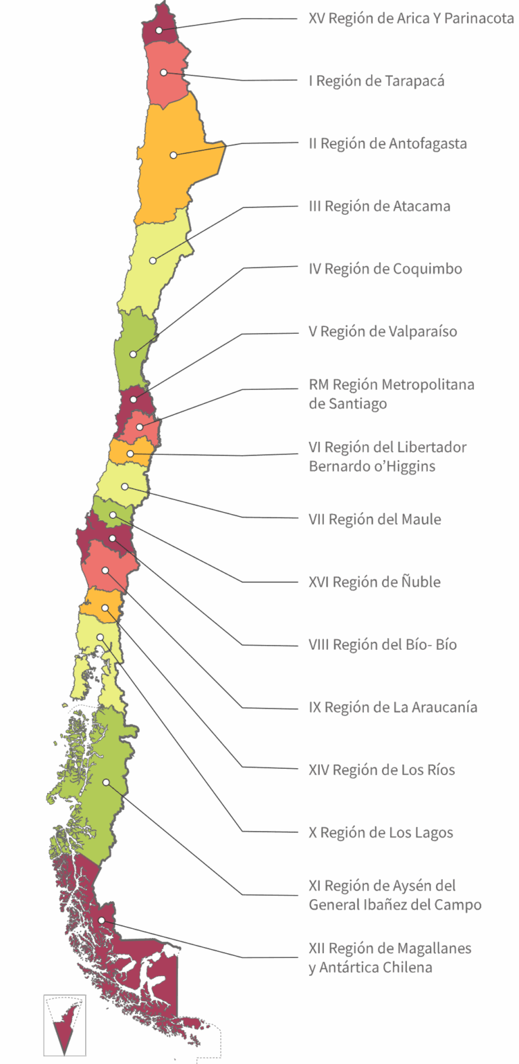 Plato de Porcelana (27×3 cm – 929 g) – Mr Gabriel